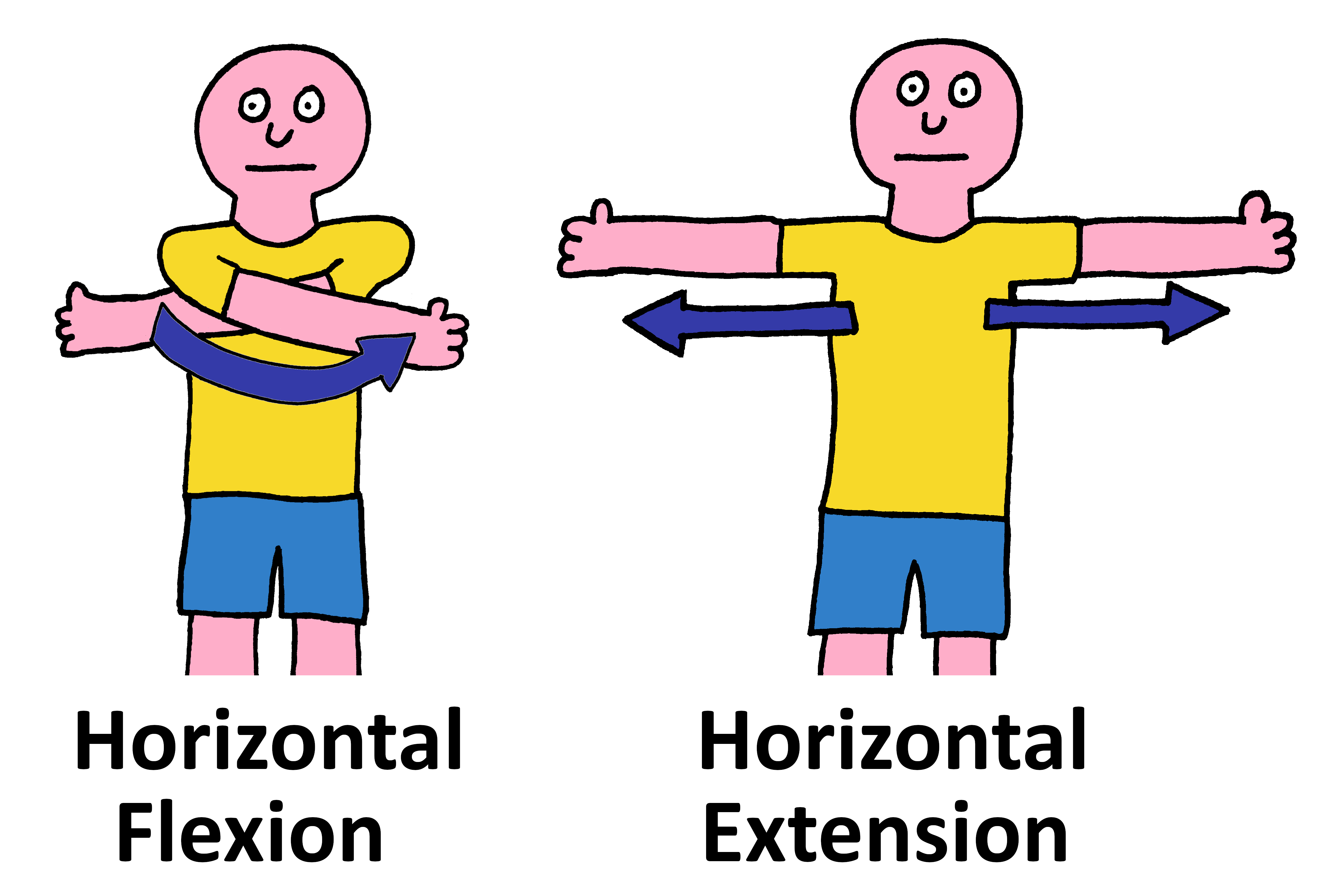 What Are the Anatomical Joint Movement Terms? – Functional Fitness PTS