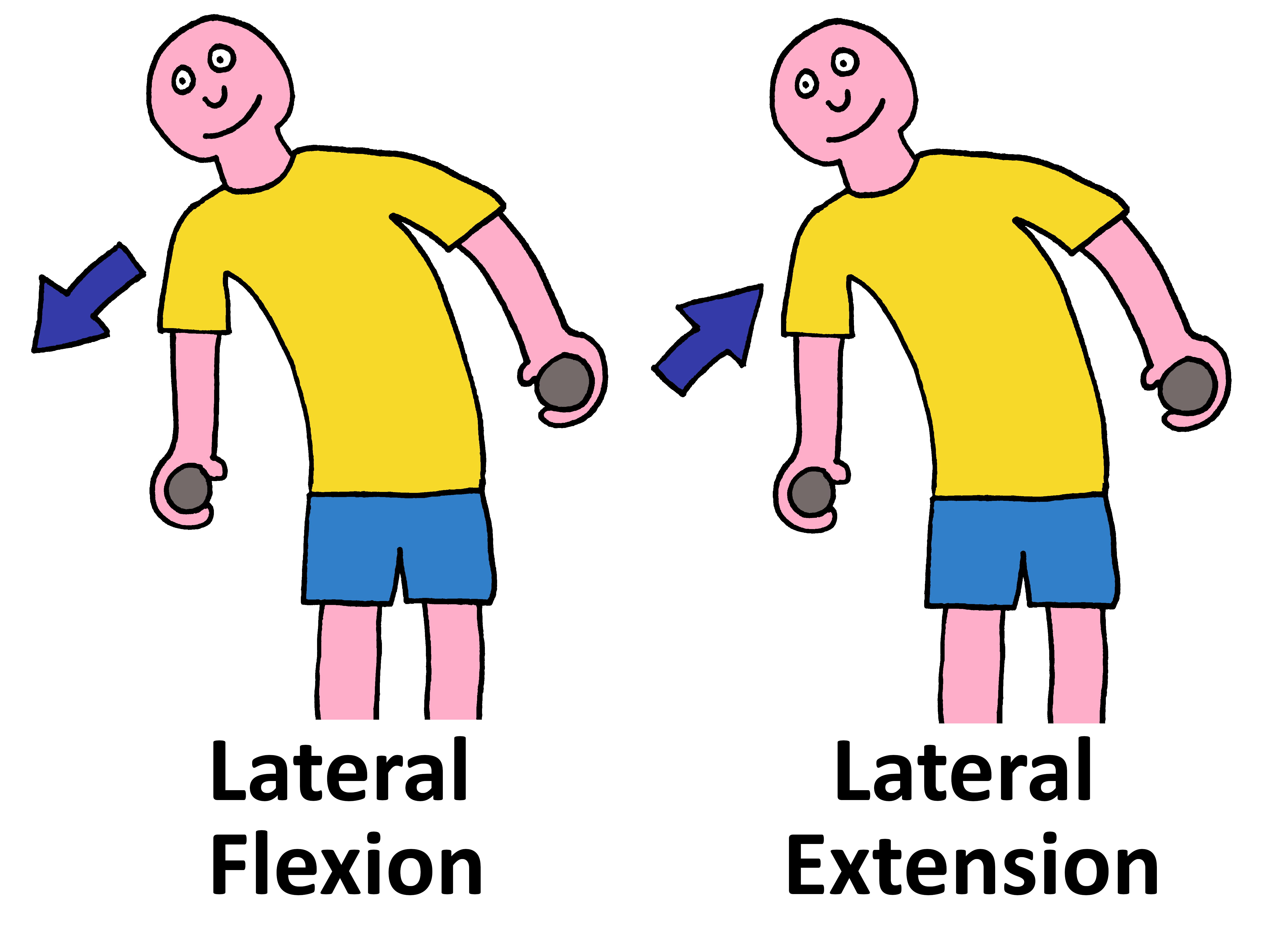 What Are the Anatomical Joint Movement Terms? – Functional Fitness PTS
