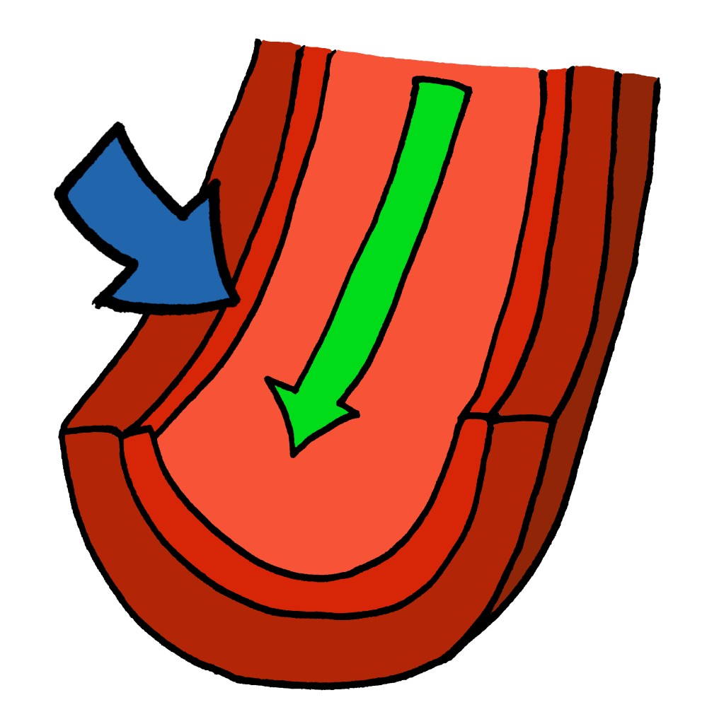 The Three Types of Skeletal Muscle Fibre – Functional Fitness PTS